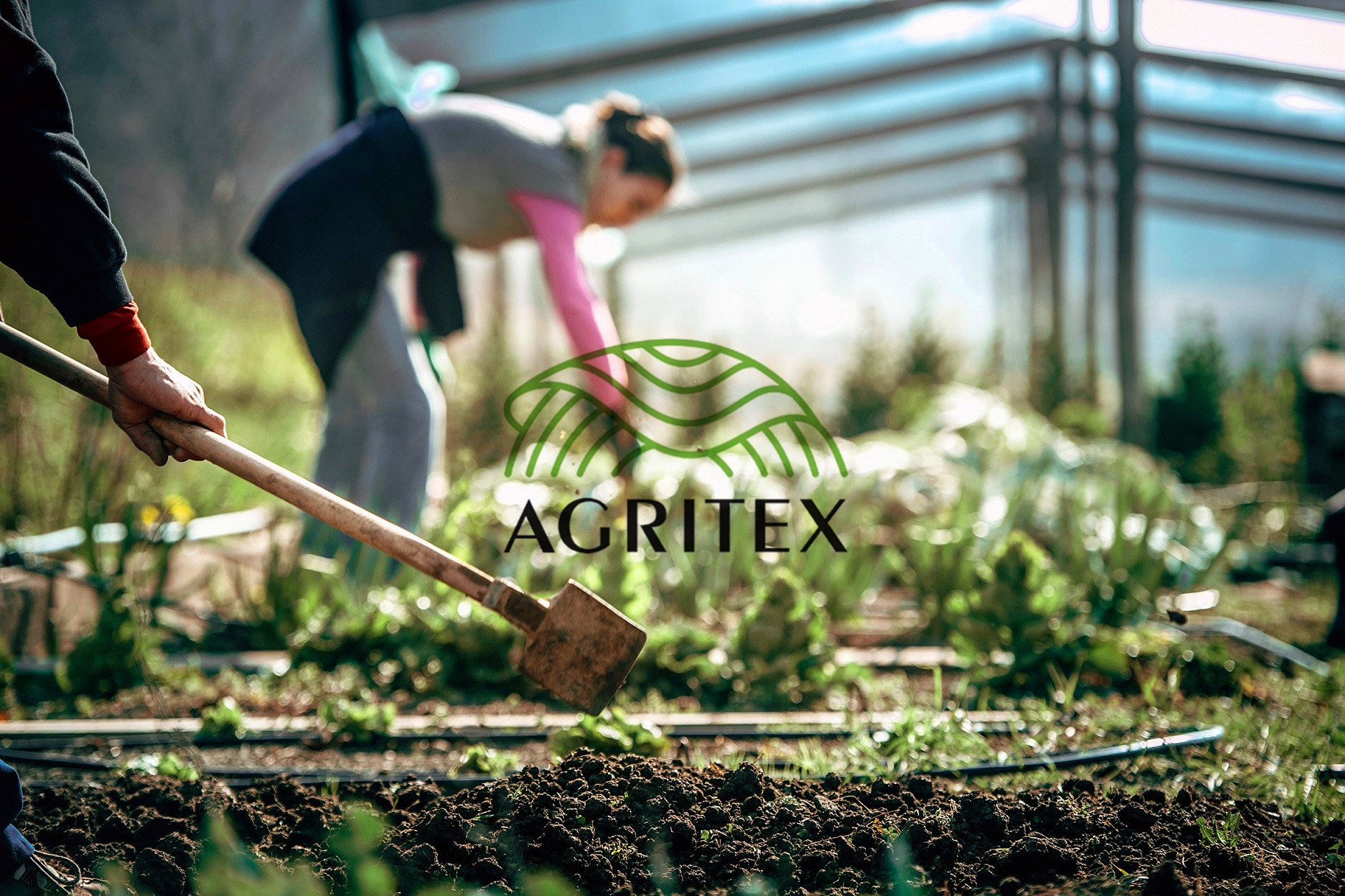 The Company - Agriculture Textile| Landscape Fabric|Ground Cover| Weed Control Mat| 2in1 Weed ...